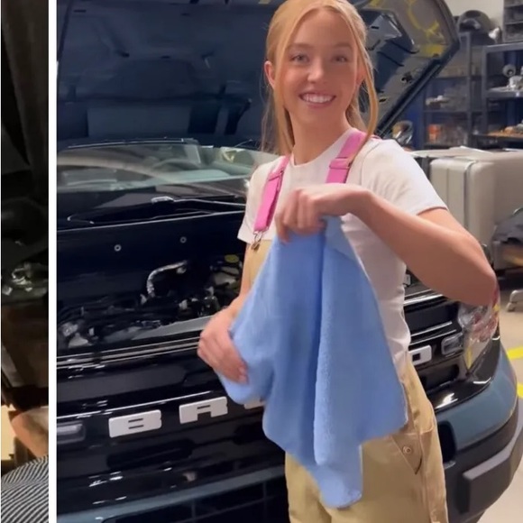 Dickies | Pants & Jumpsuits | Ford X Sydney Sweeney Bib Overalls | Poshmark